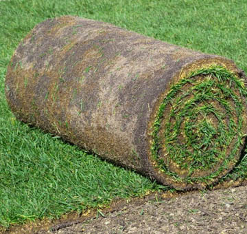 Entreprise de pose de pelouse en rouleau et en semi à Avignon ...